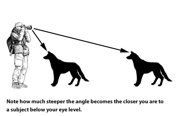 Game Changer - Shootin' Eye Level - Backcountry Gallery