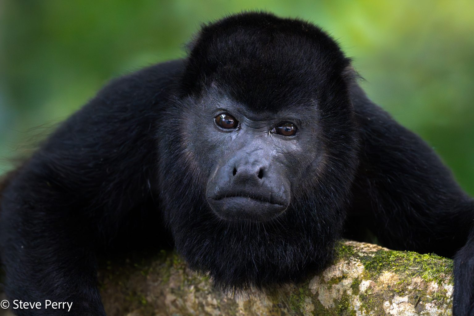 2027 Costa Rica Wildlife Photography Workshops - Backcountry Gallery