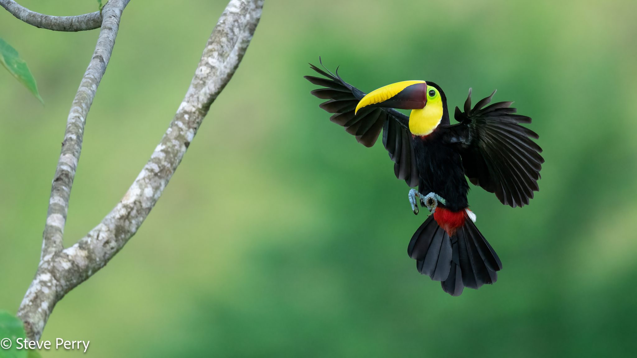 2027 Costa Rica Wildlife Photography Workshops - Backcountry Gallery