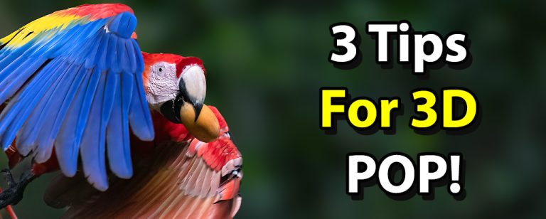 3d-pop-FI - Backcountry Gallery
