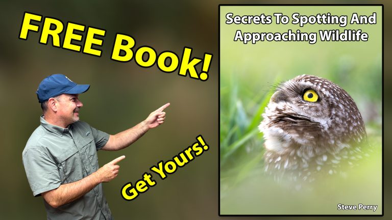 Backcountry Gallery - Wildlife Photography By Steve Perry