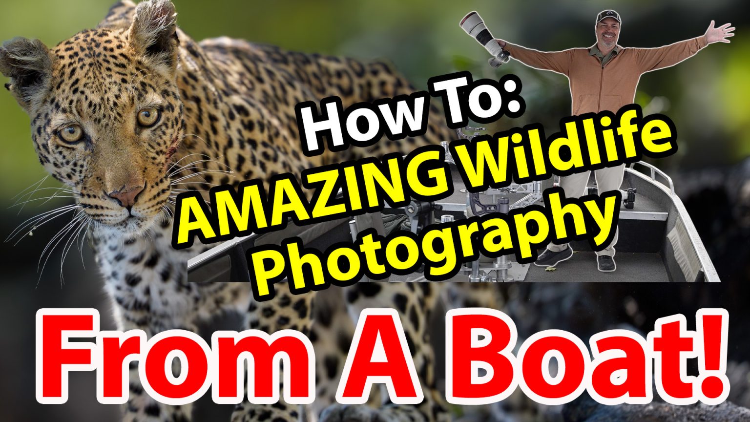 Backcountry Gallery - Wildlife Photography By Steve Perry