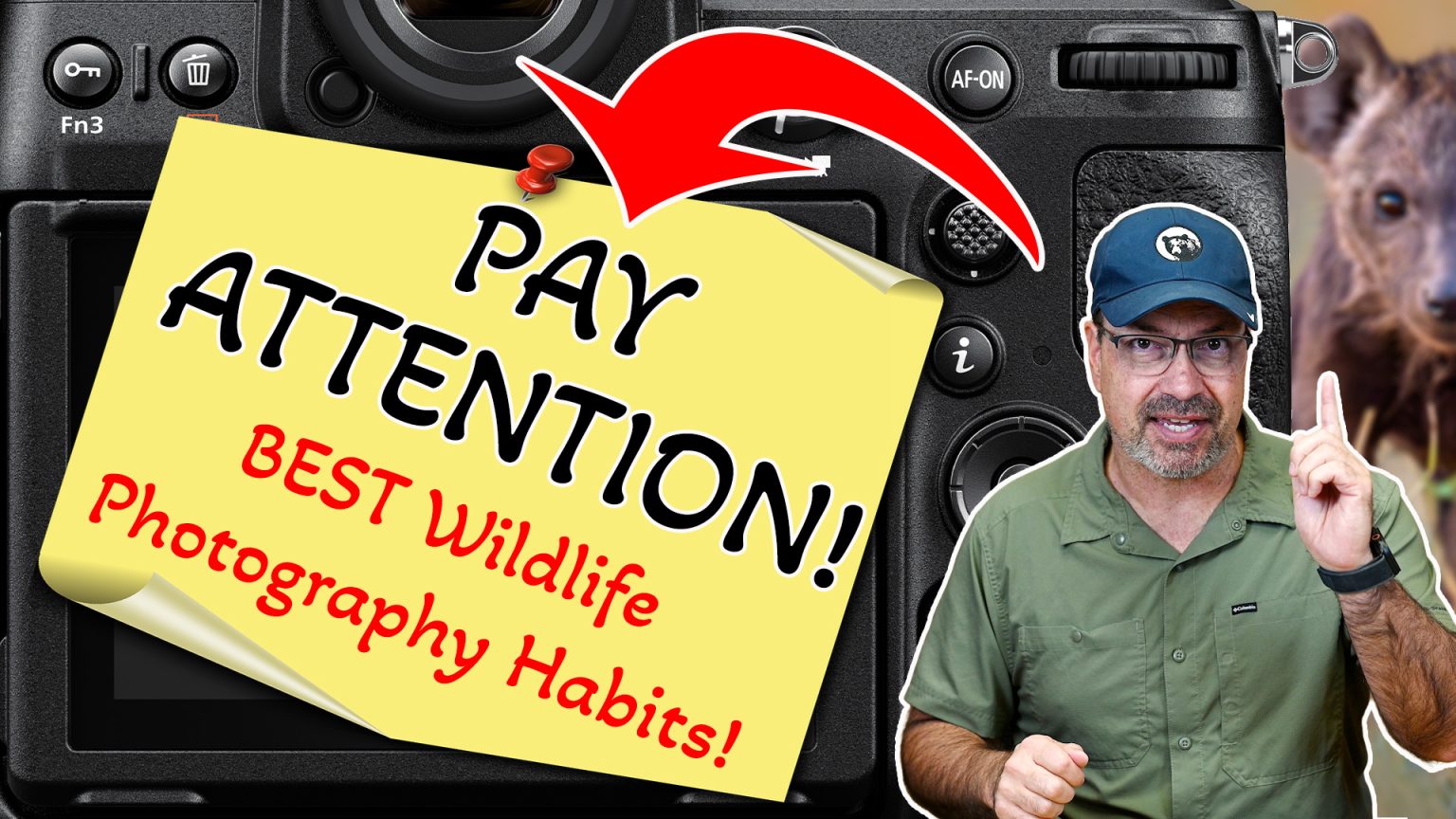 Backcountry Gallery - Wildlife Photography By Steve Perry