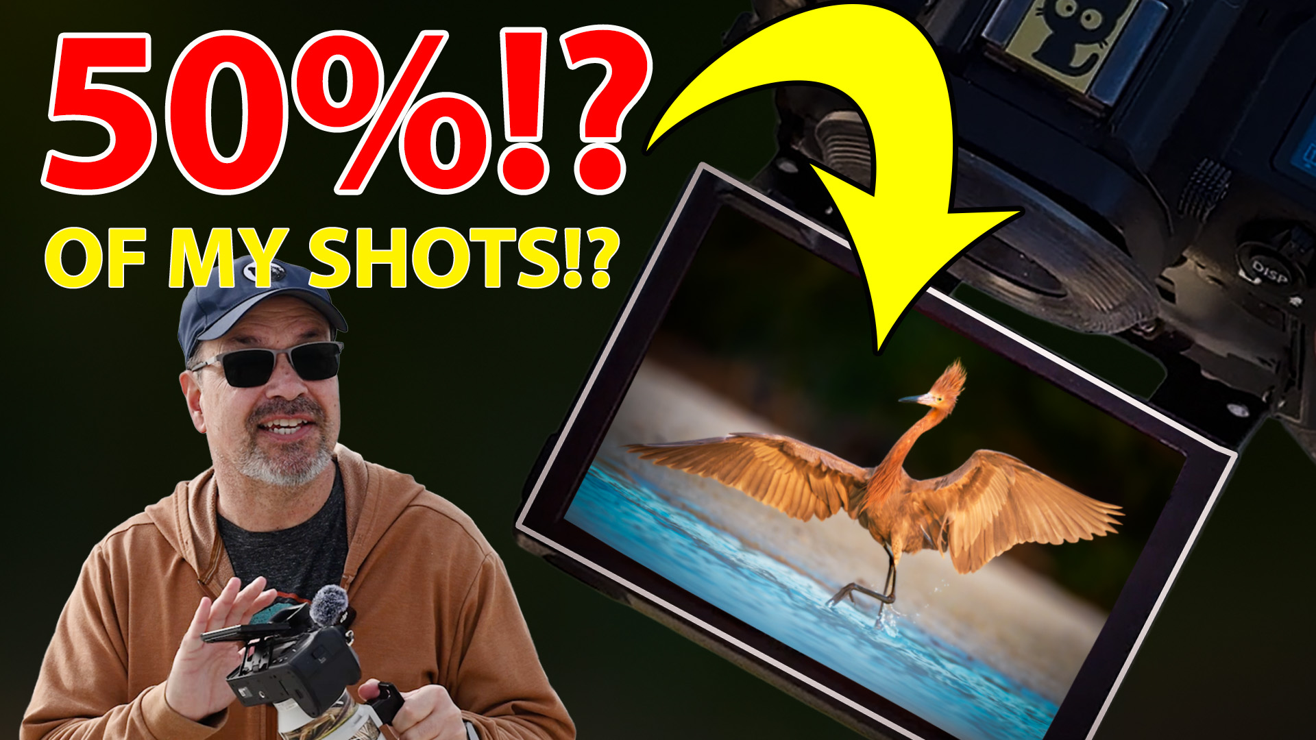 Why I Shoot 40-50% of My Wildlife Photos with the LCD (And How ...